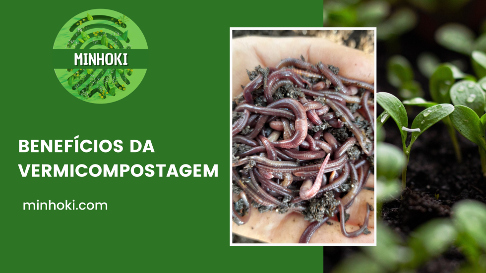 Benefícios da Vermicompostagem - Minhoki